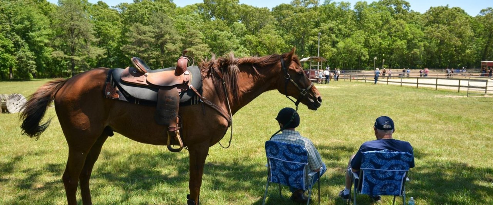 The 10 Best Horseback Riding Spots in Suffolk County, NY